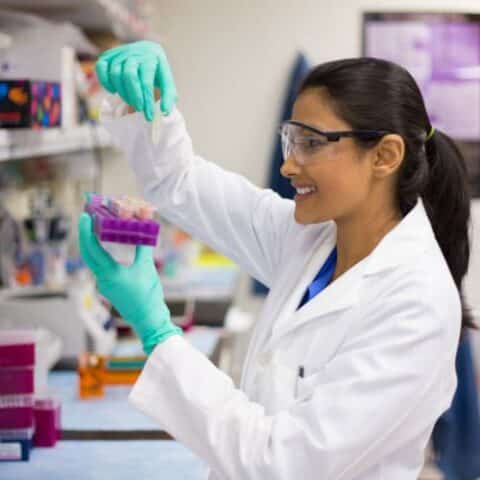 Data & Analytics Consulting | Data Experts | Dataco Consulting